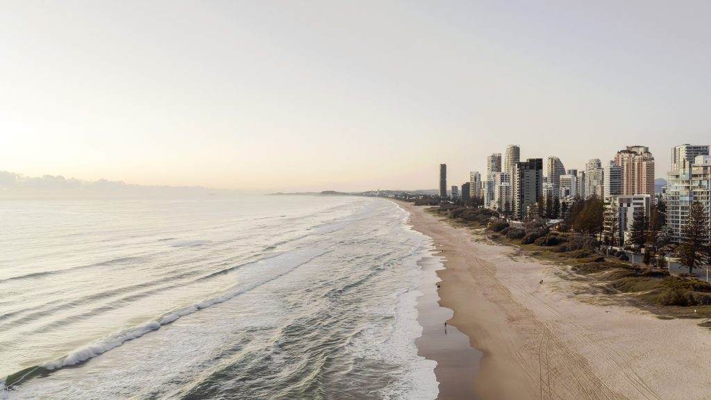 About the Developer – Amaya